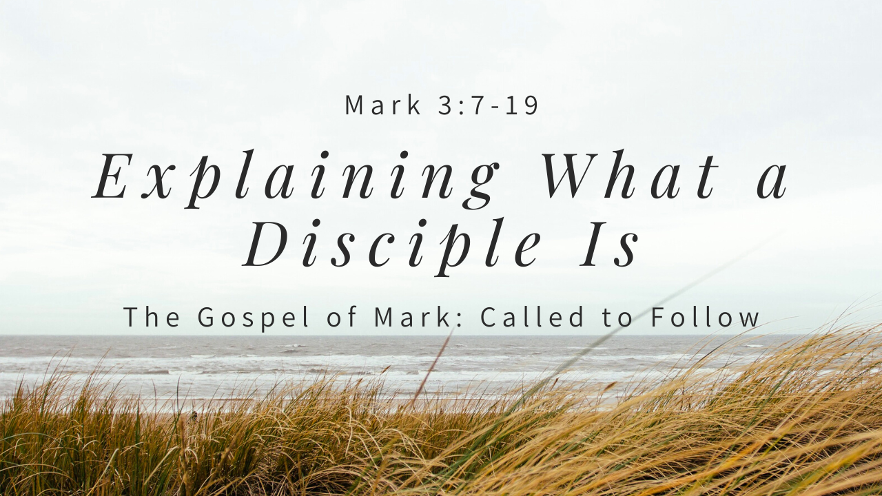 What Does Unity Look Like | Mark 3:20-35 - Logos Sermons