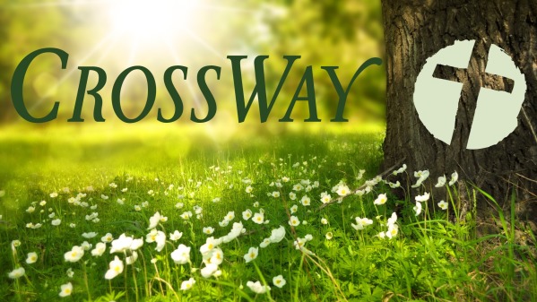 Deviating from the path - Logos Sermons