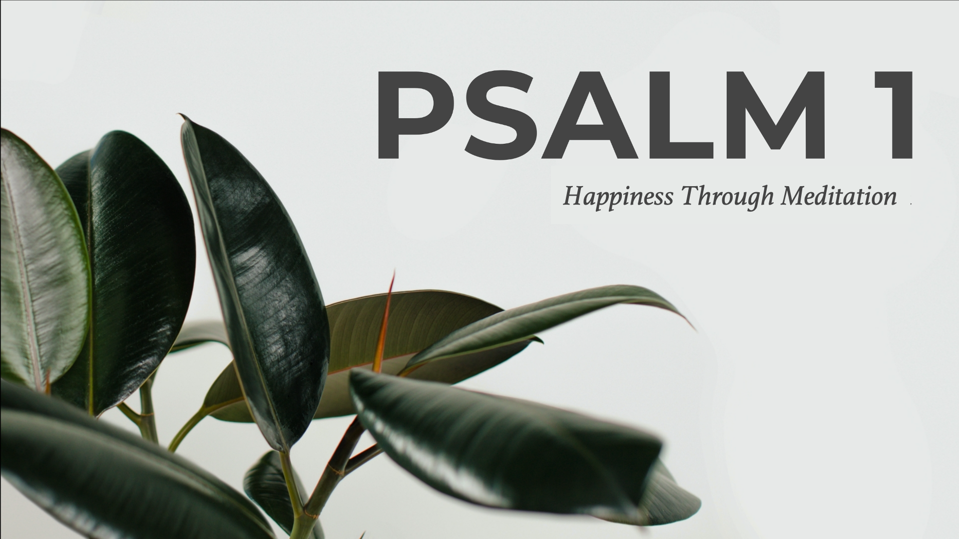 Psalm 1, Part 2 - Happiness Thru Meditation // Psalm 1:2-6 - Logos Sermons