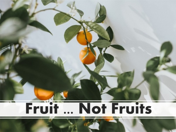 Fruit not Fruits/Gal 5 Series - Logos Sermons