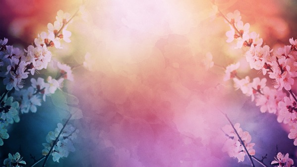 Memorial 9/24/22 - Logos Sermons