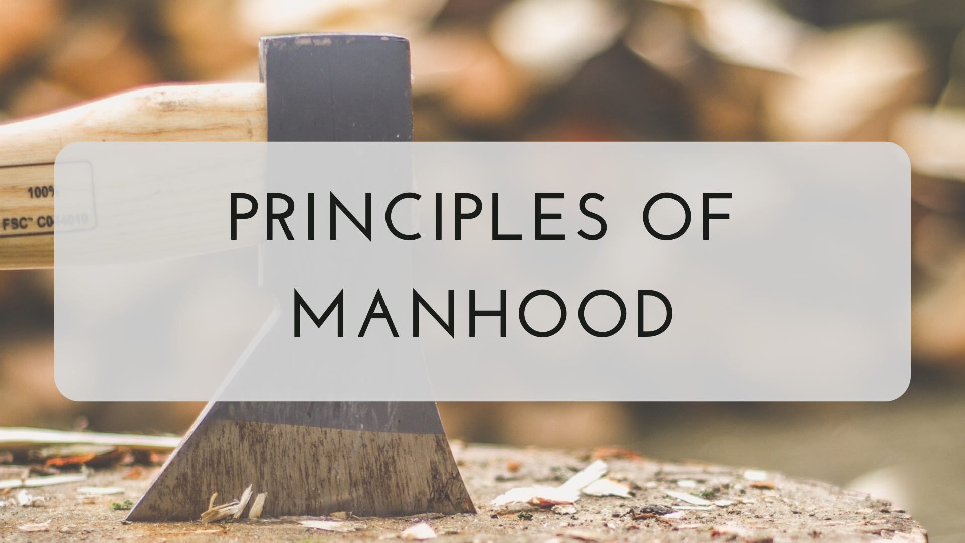 #1 Principles of Manhood: Image of God - Logos Sermons