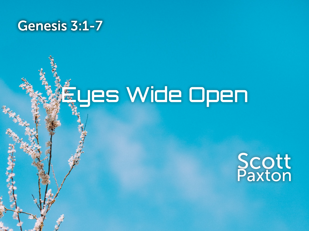 Eyes Wide Open - Logos Sermons