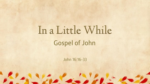 In a Little While - Logos Sermons