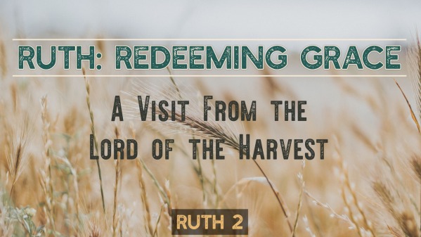 Ruth: Redeeming grace - Logos Sermons