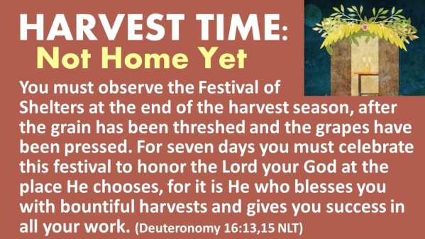 11-06-22 Not Home Yet - Logos Sermons