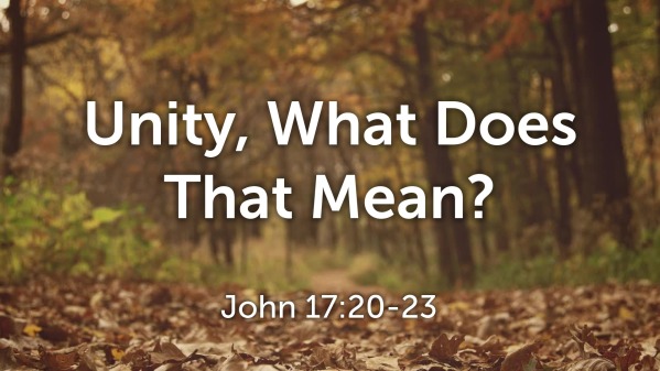Unity, What Does That Mean? - Logos Sermons