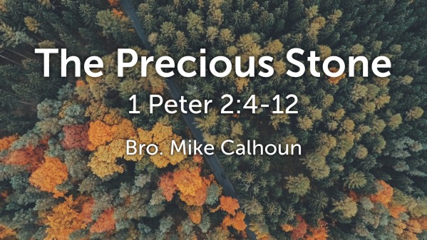 The Precious Stone - 1 Peter 2:4-12 - Logos Sermons