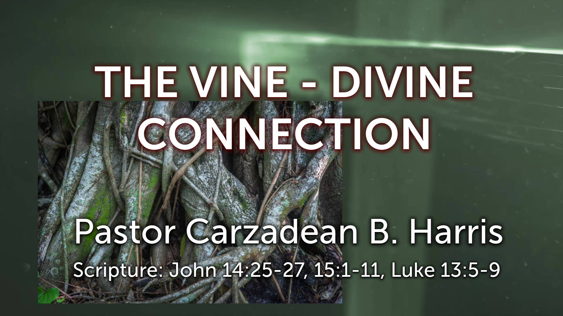 THE VINE - DIVINE CONNECTION - Logos Sermons