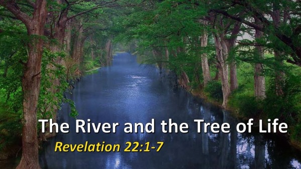 The river and tree of Life - Logos Sermons