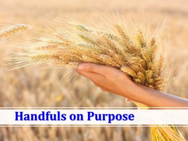 Sunday Nov 13 Sermon - Logos Sermons
