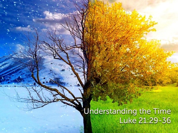 Understanding the Time - Logos Sermons