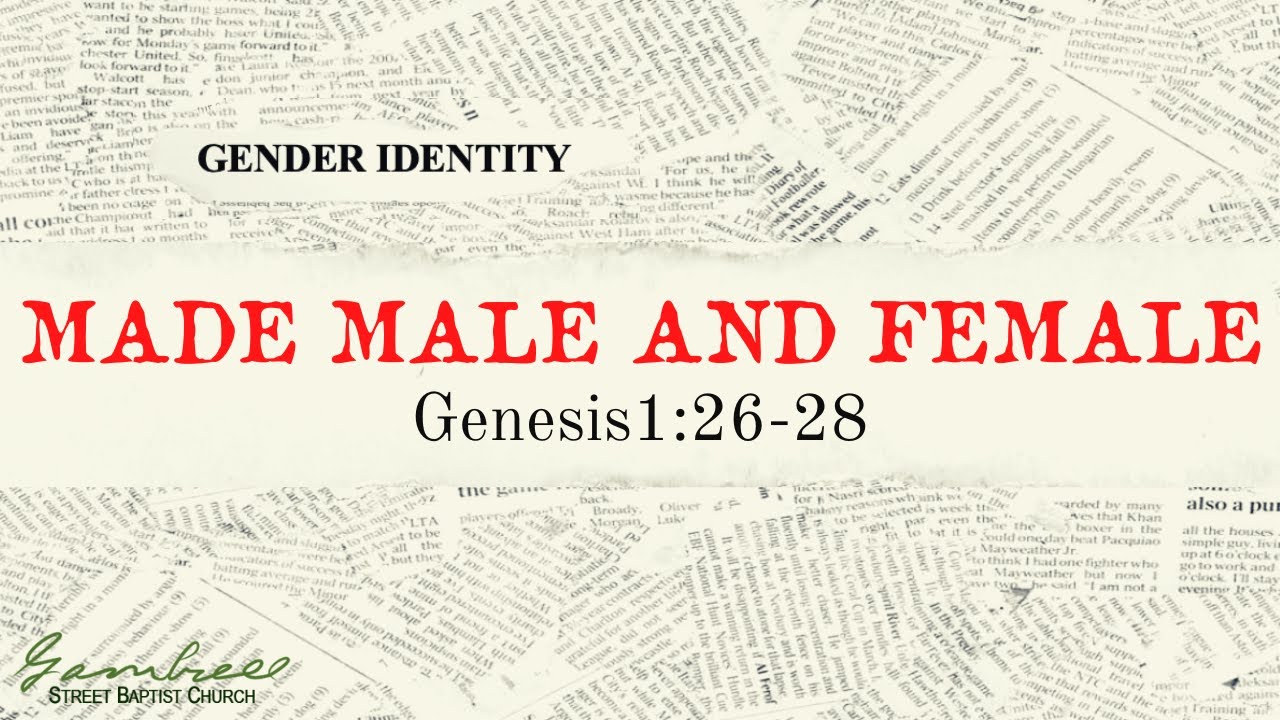 02 Made Male and Female - Let's Reason - Logos Sermons