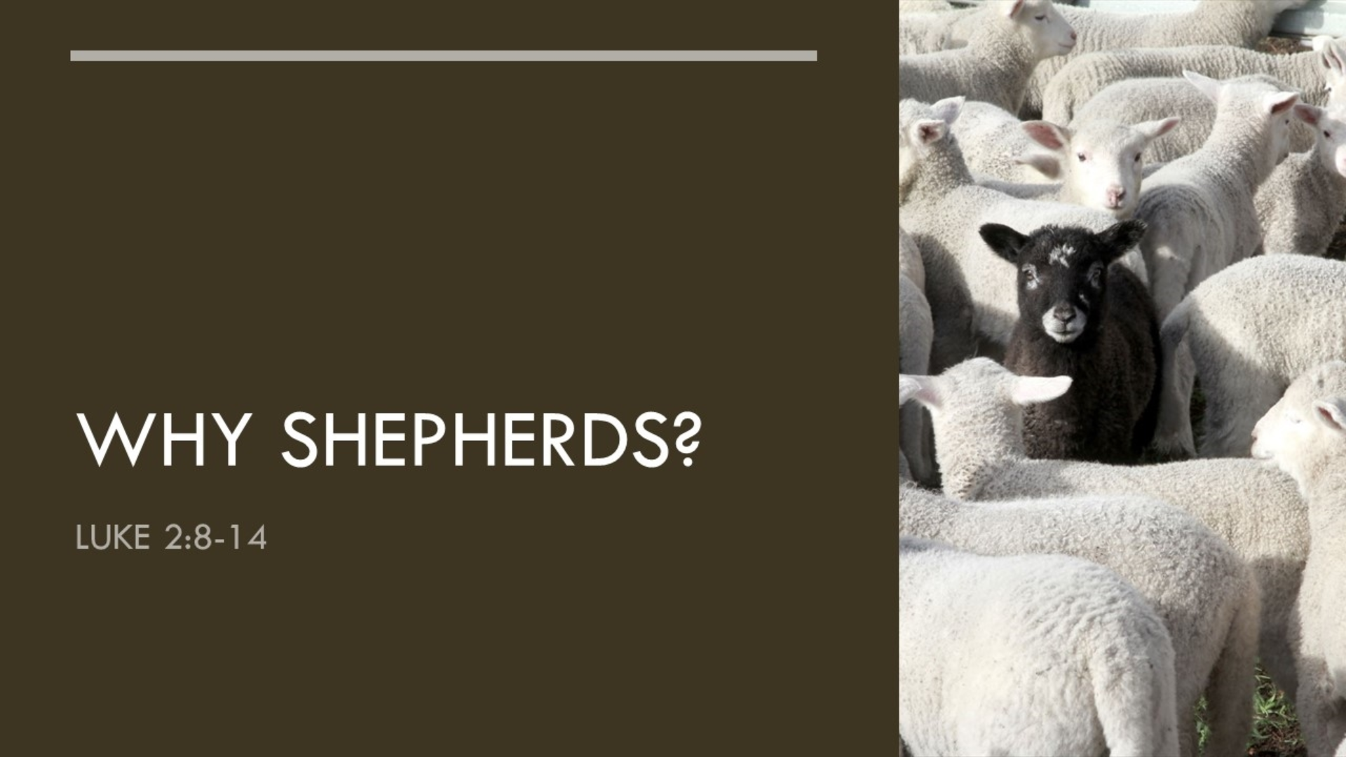 Why Shepherds- Luke 2:8-14) - Christmas Day December 25, 2022 - Logos ...
