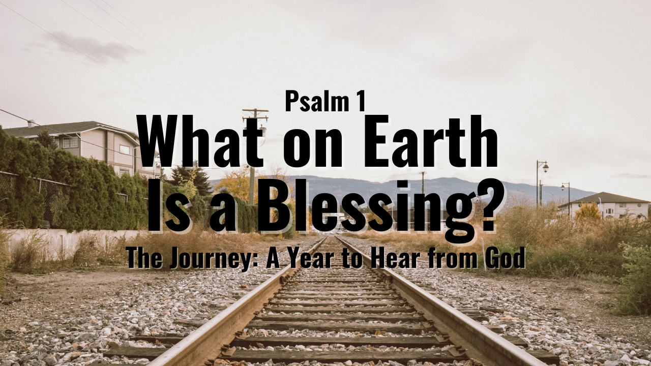 What on Earth Is a Blessing? | Psalm 1 - Logos Sermons