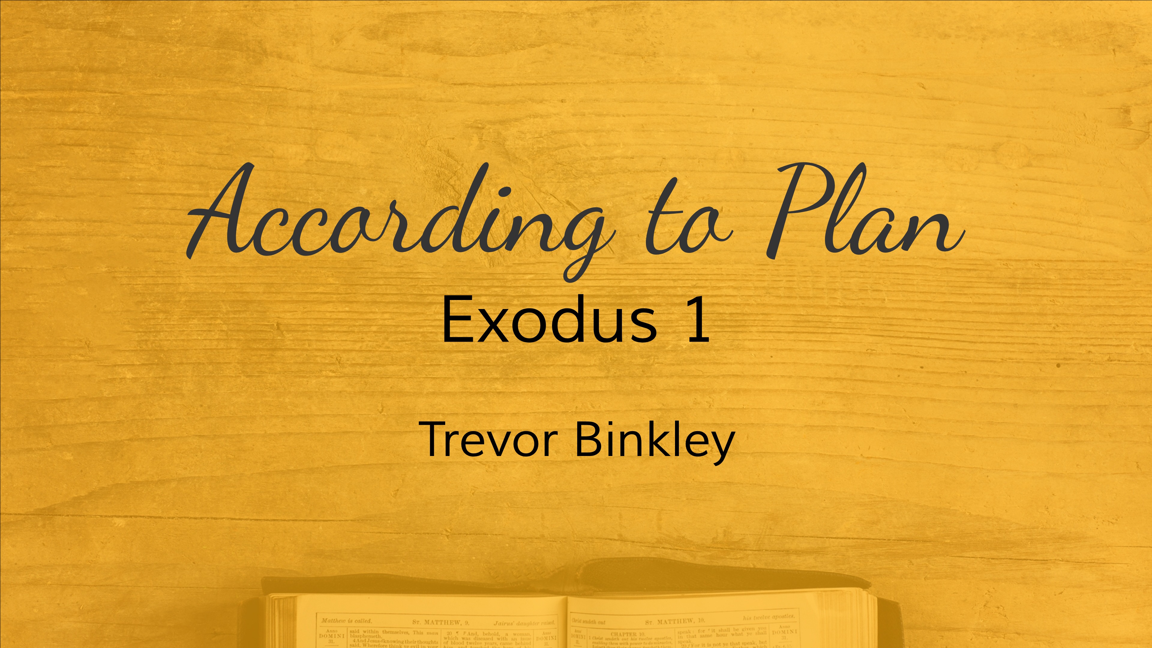 According To Plan Logos Sermons according-to-plan-logos-sermons