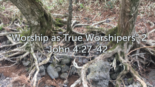January 8-Worship as True Worshipers/John 4:27-42 - Logos Sermons
