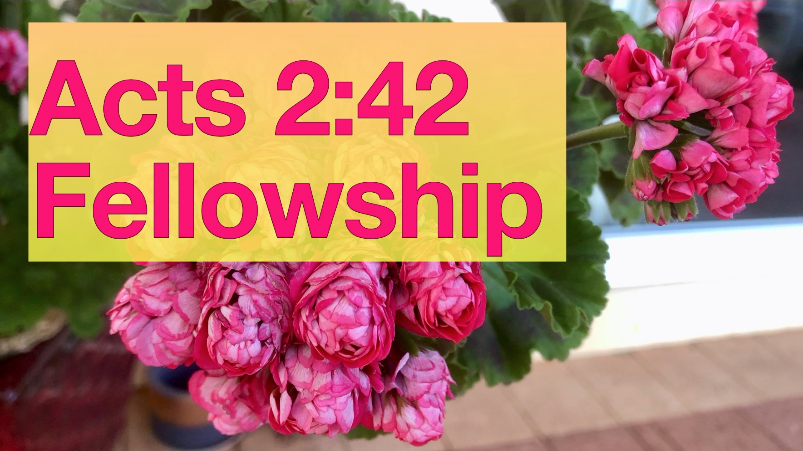 Acts 242 The first bloom of Christian Fellowship - Logos Sermons