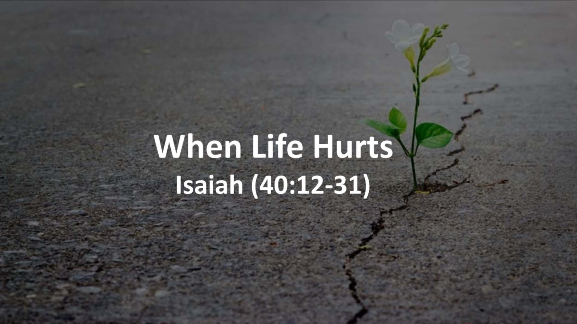When Life Hurts - Logos Sermons