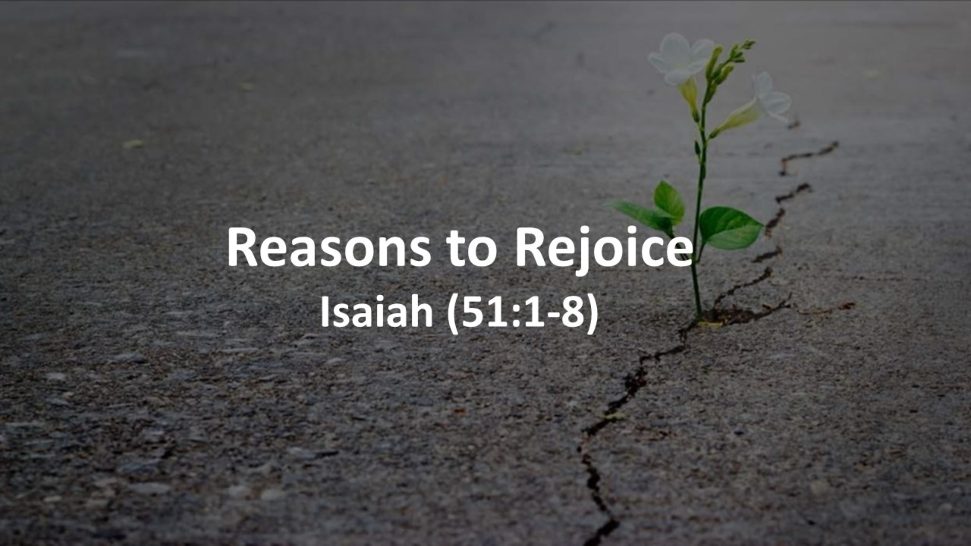 Reasons to Rejoice in 2023 - Logos Sermons