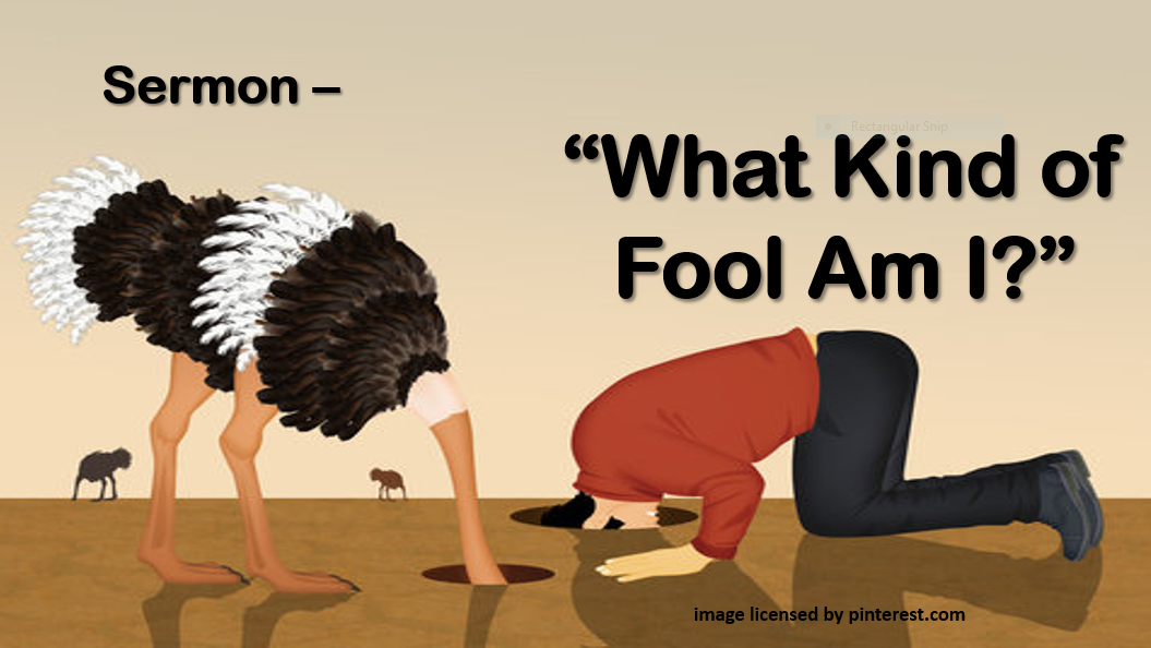 What Kind of Fool am I? - Logos Sermons
