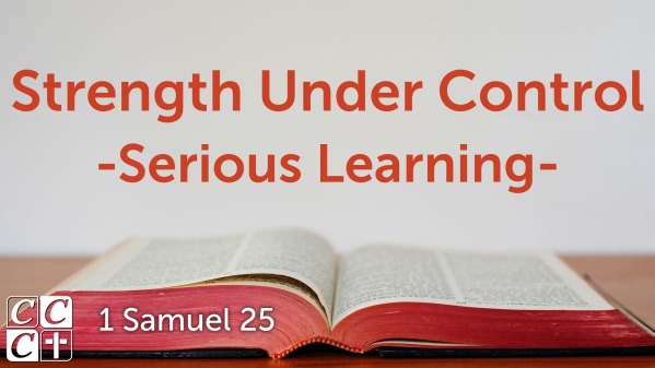 Strength Under Control - Logos Sermons