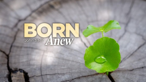 Born Anew - Logos Sermons