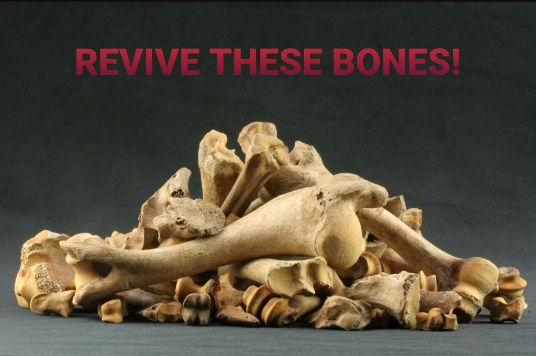 Revive These Bones - Logos Sermons