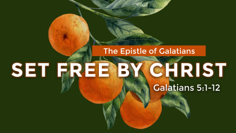 Set Free by Christ - Logos Sermons