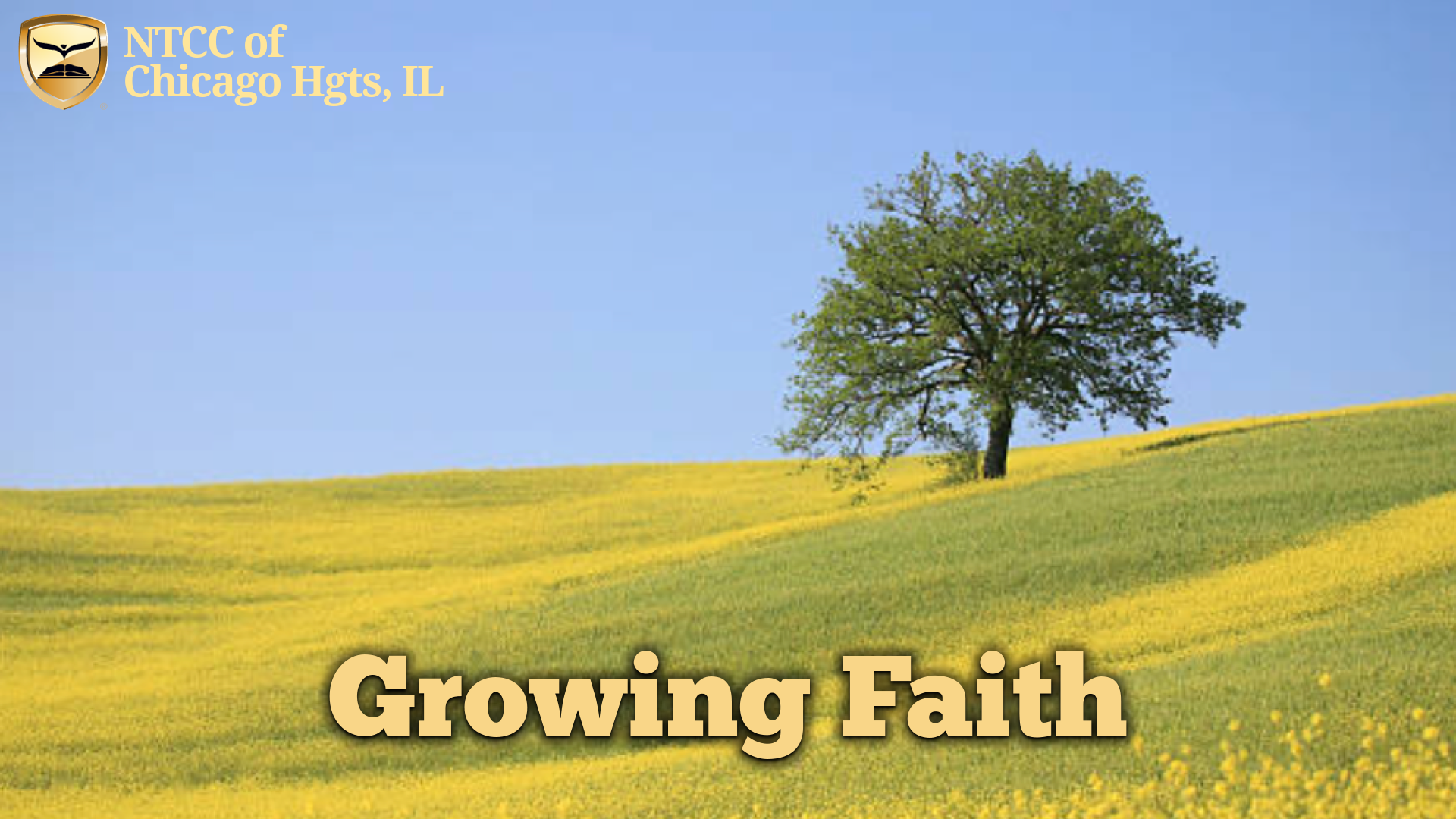 Thursday PM Service - Growing Faith 2023.03.30 - Logos Sermons