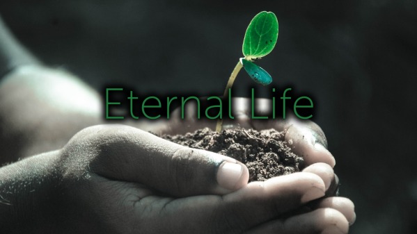 What is Eternal Life? - Logos Sermons