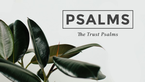 The Trust Psalms: Psalm 62 - Logos Sermons