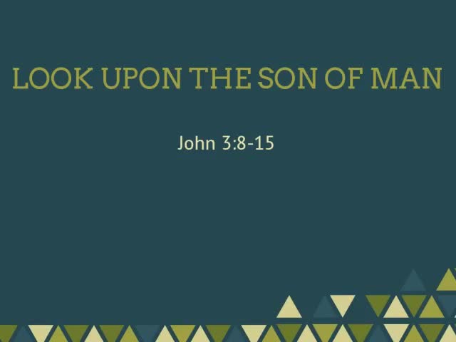 Look Upon the Son of Man - Logos Sermons