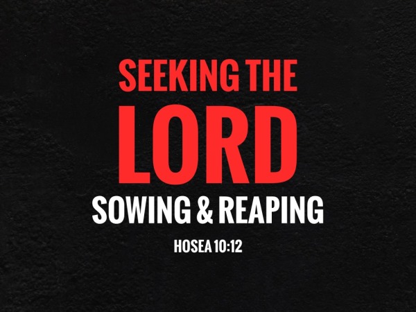 Seeking God: Sowing and Reaping - David Kanski - Faithlife TV