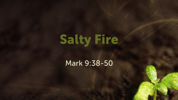 Salty Fire - Logos Sermons