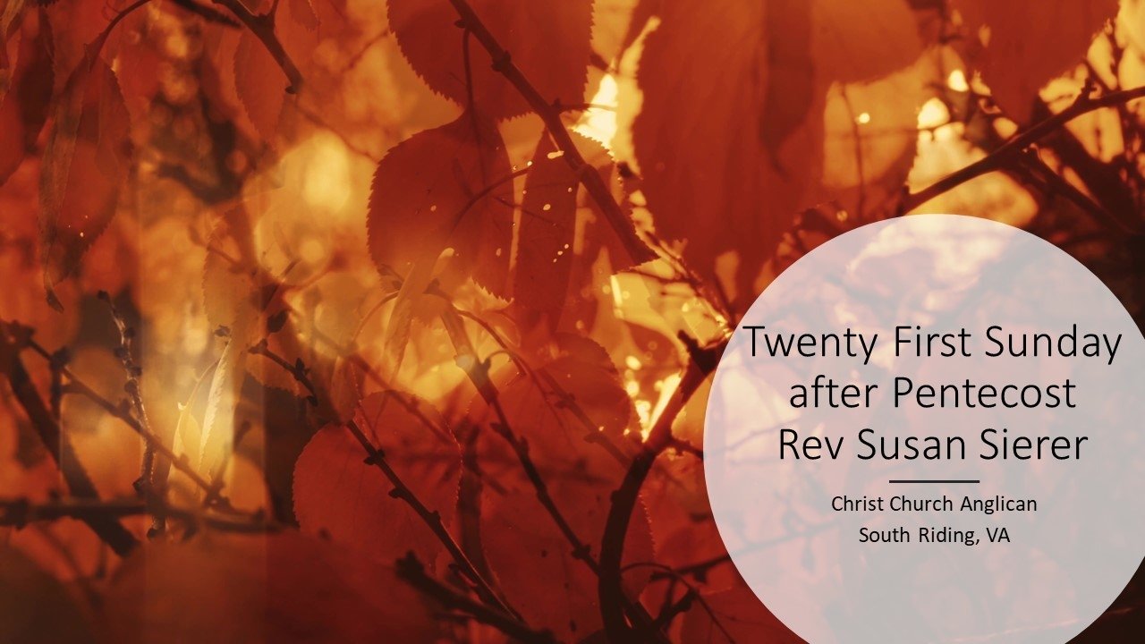 Christ Church Proclaim posted - Faithlife