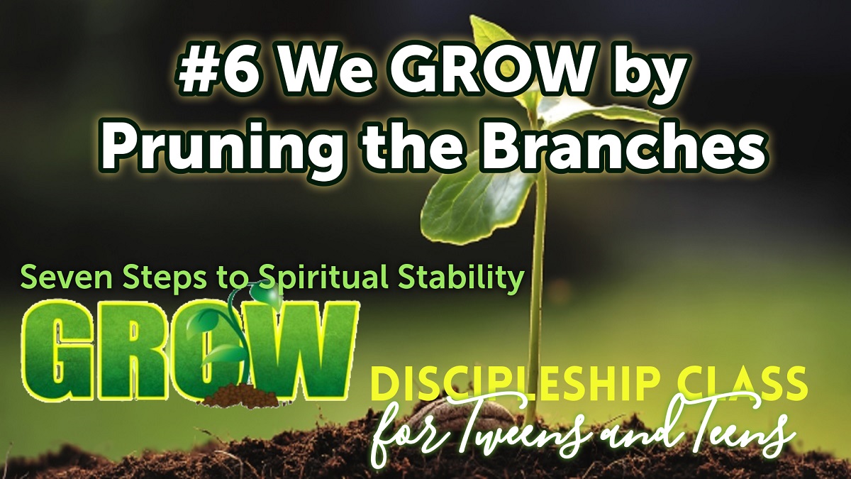 Step #6 of Seven Steps to Spiritual Stability - Logos Sermons