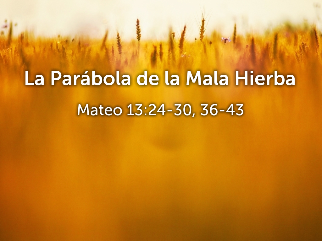 La Parabola De La Mala Hierba - Logos Sermons