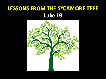 Lesson from the Sycamore Tree - Logos Sermons
