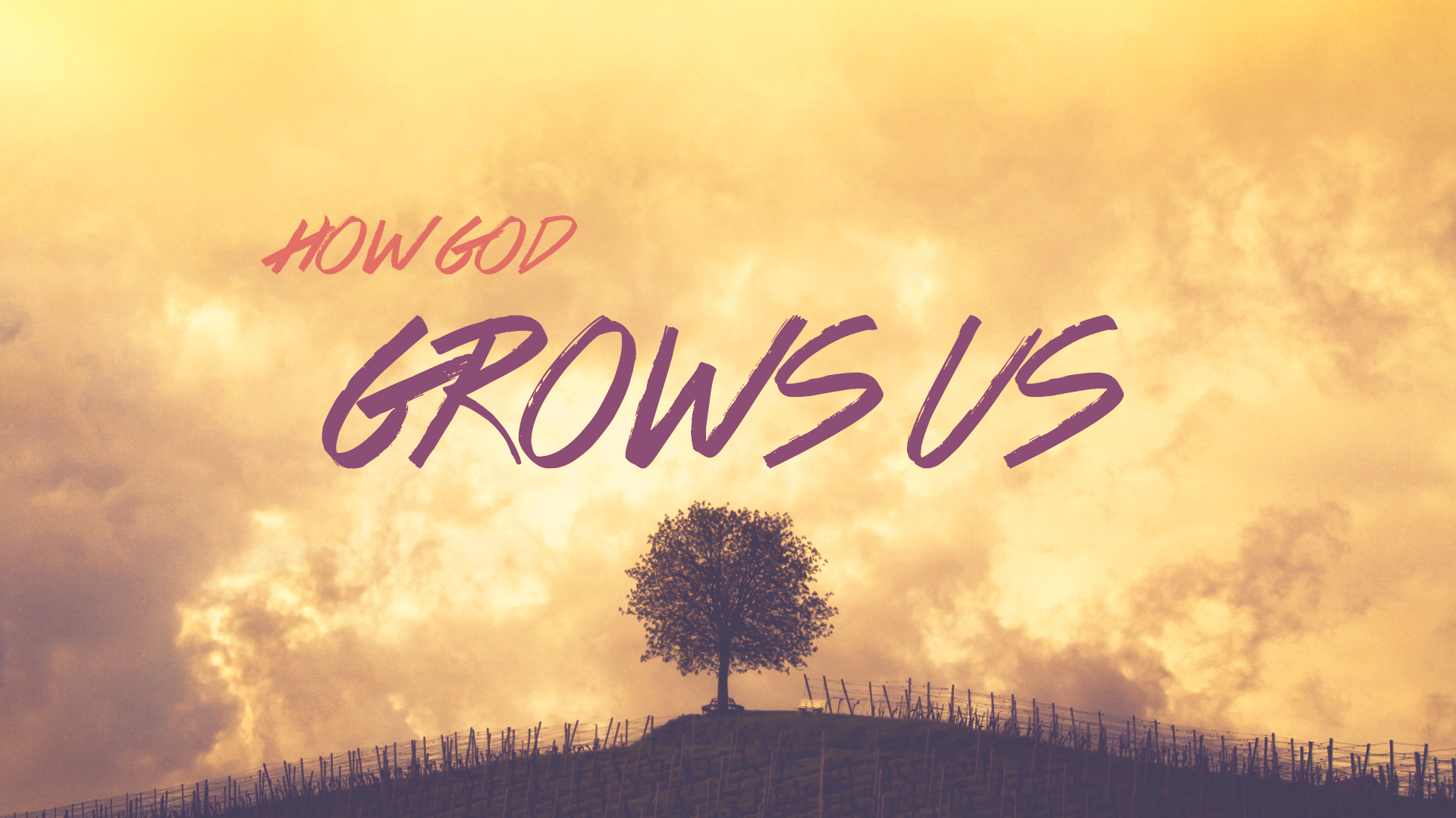 Practical Teaching - Logos Sermons