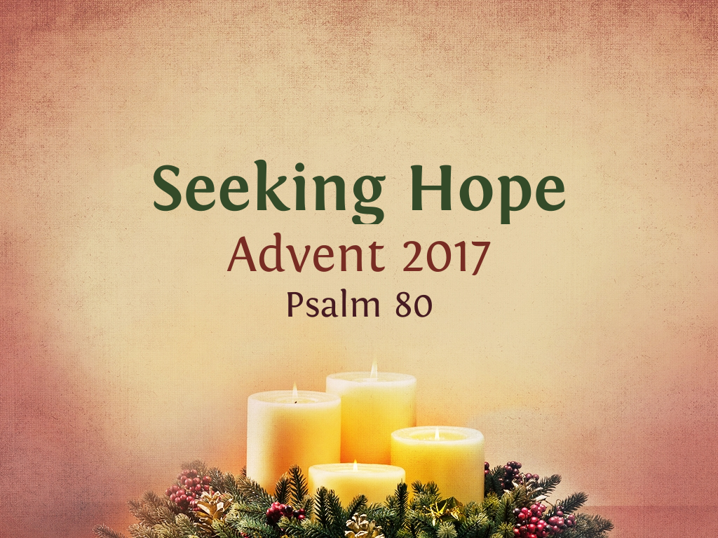 Seeking Hope - Logos Sermons