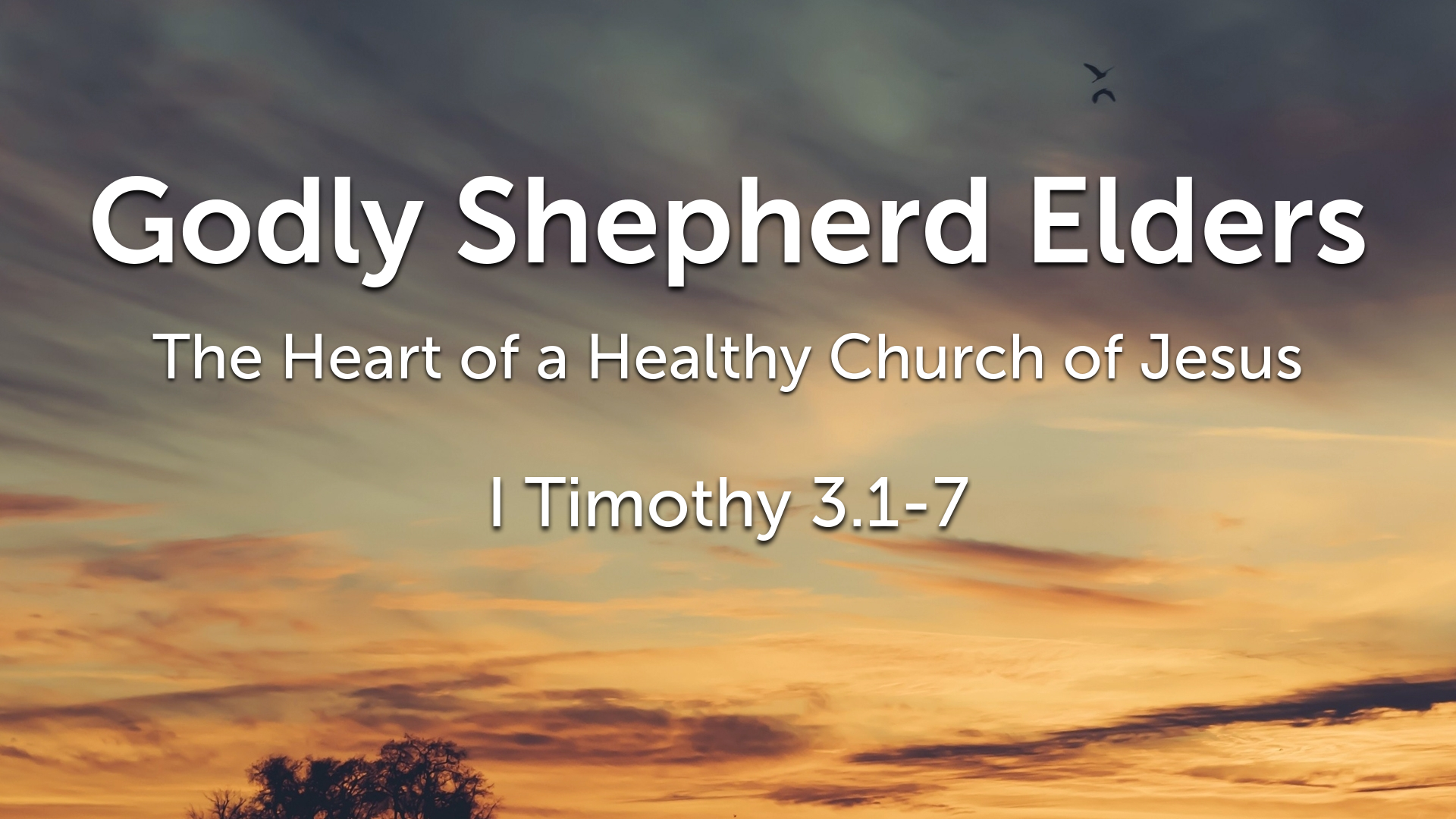 Godly Shepherd Elders - Logos Sermons